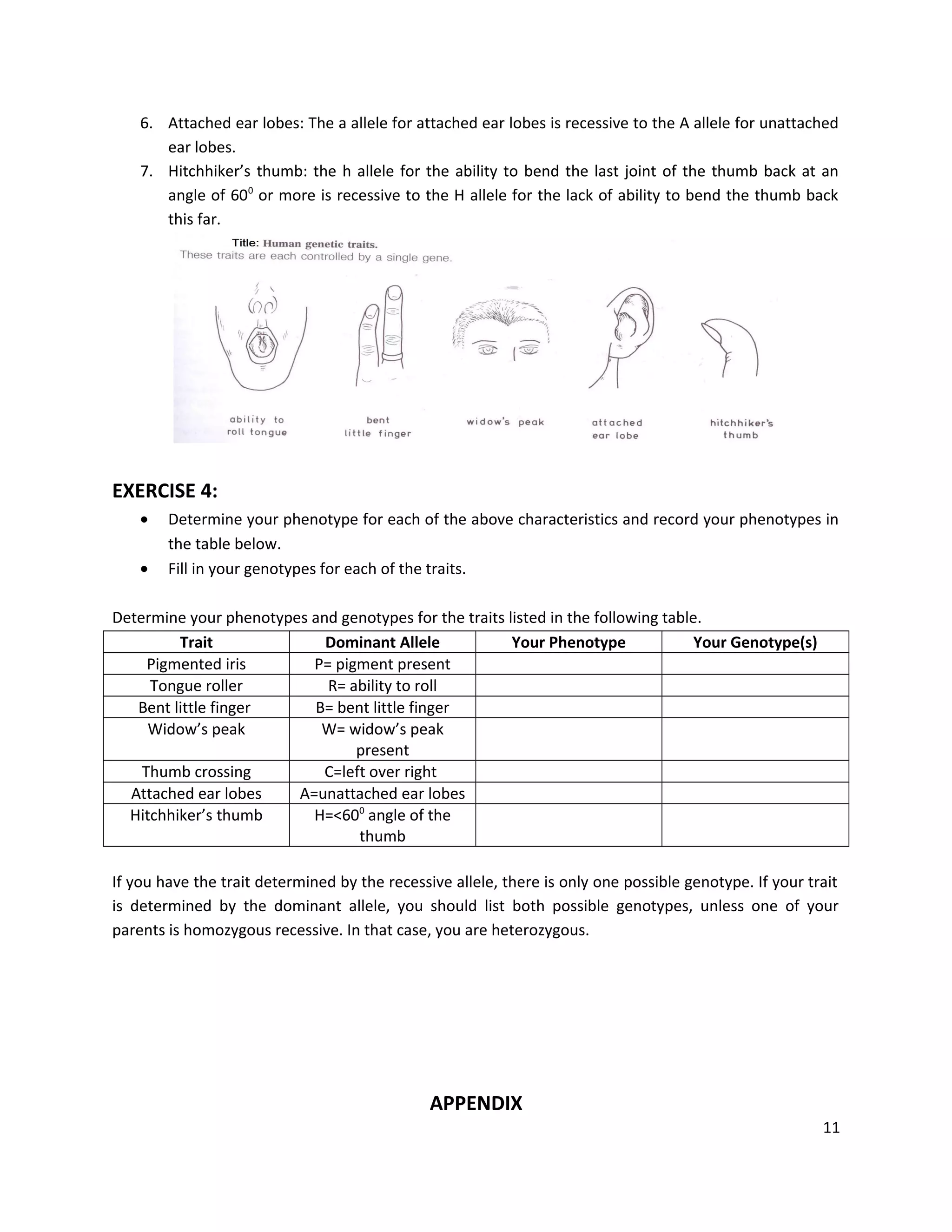 8 9 mitosis meiosis_and_genetics | PDF