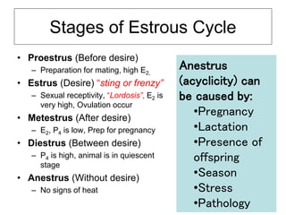 8 & 9 ther 608 estrous cycle reprod cyclicity | PPT