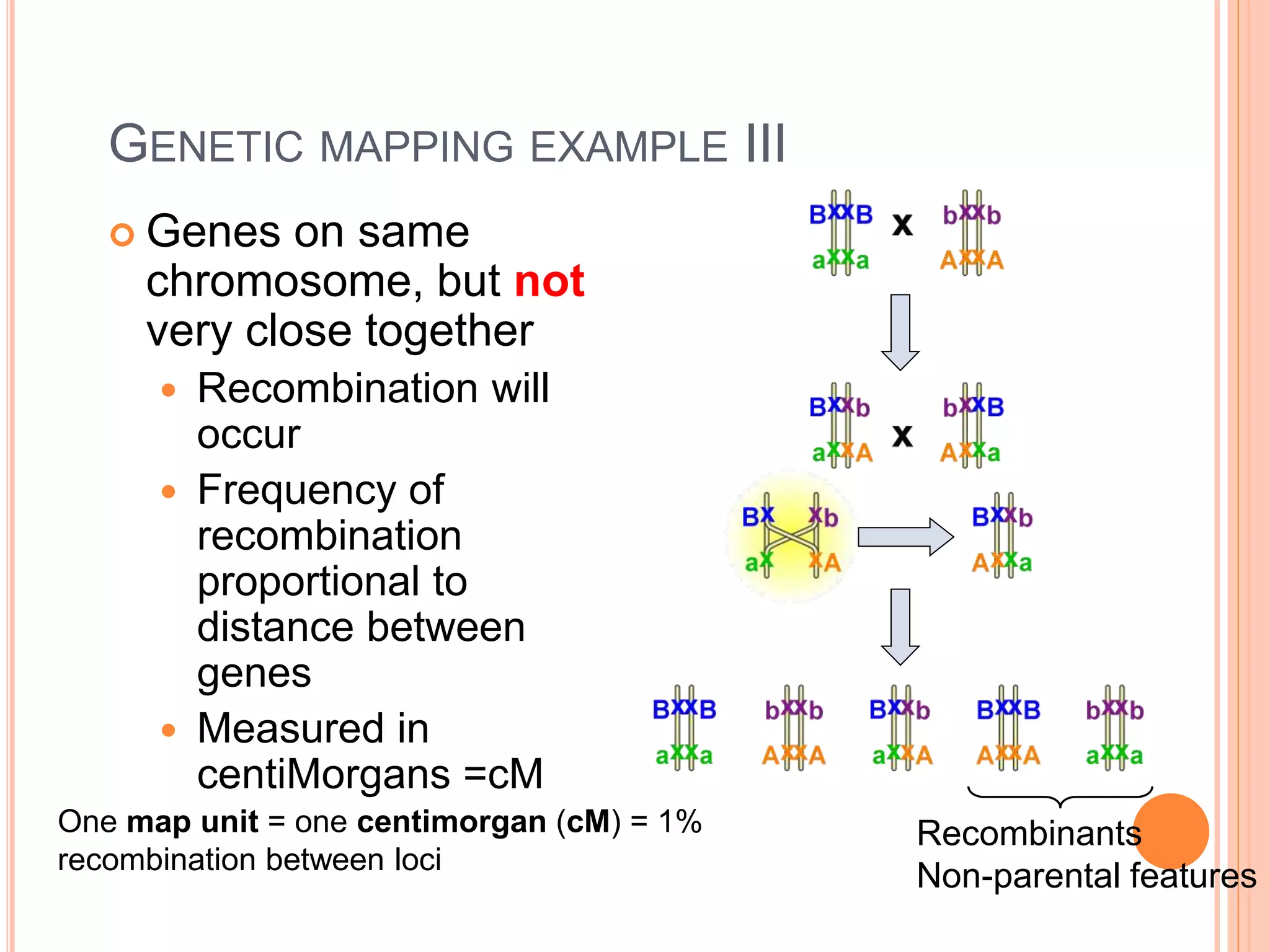 Molecular mapping | PPTX