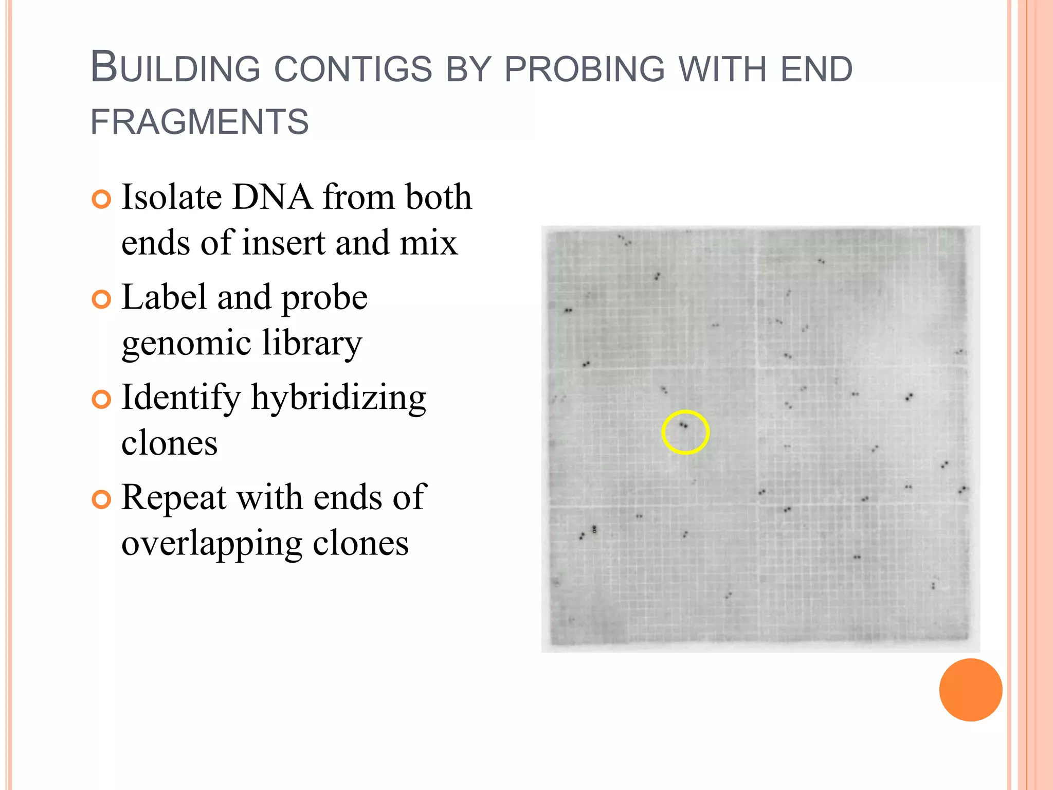 Molecular mapping | PPTX