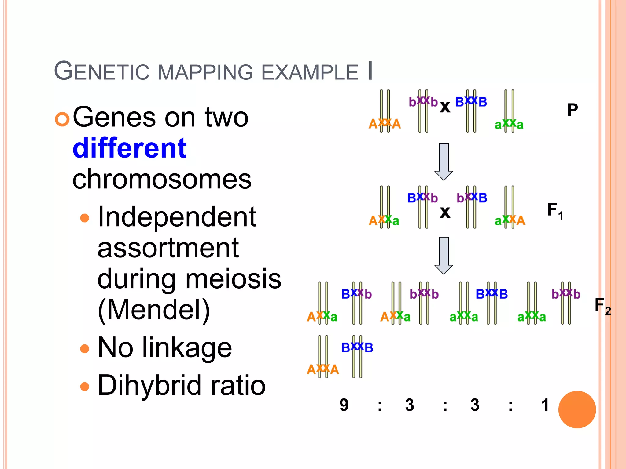 Molecular mapping | PPTX