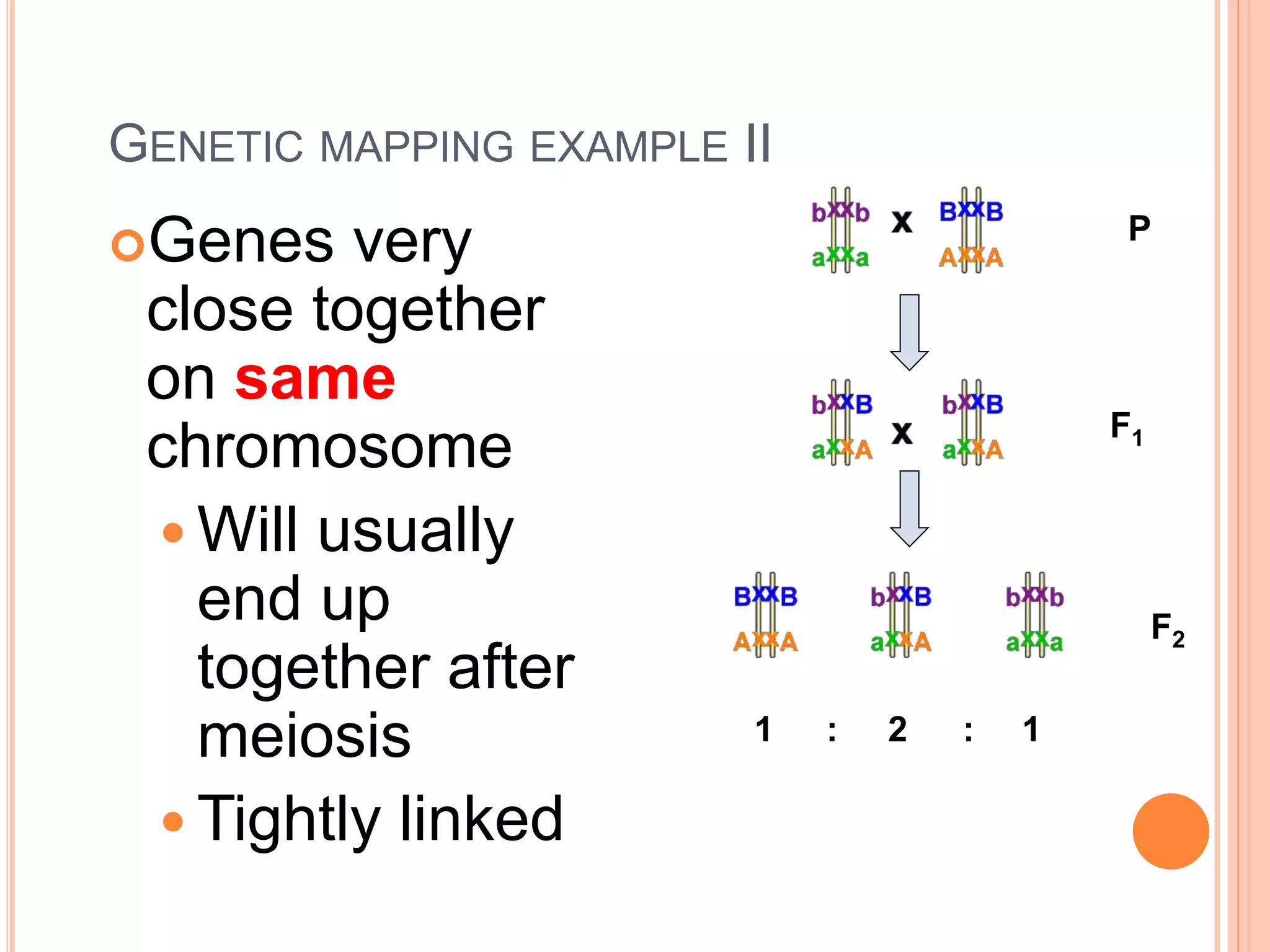 Molecular mapping | PPTX