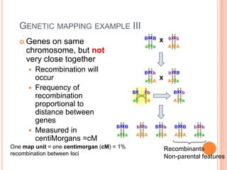 Molecular mapping | PPTX