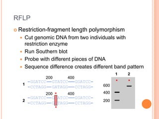Molecular mapping | PPTX