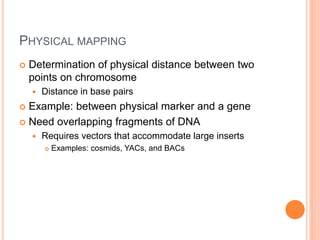 Molecular mapping | PPTX