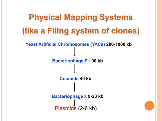 Molecular mapping | PPTX | Genetics | Science