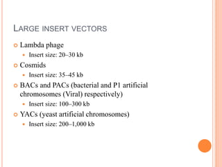 Molecular mapping | PPTX