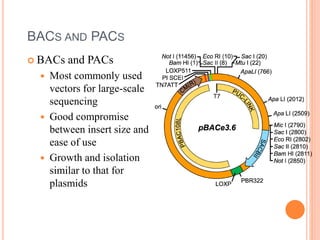 Molecular mapping | PPTX