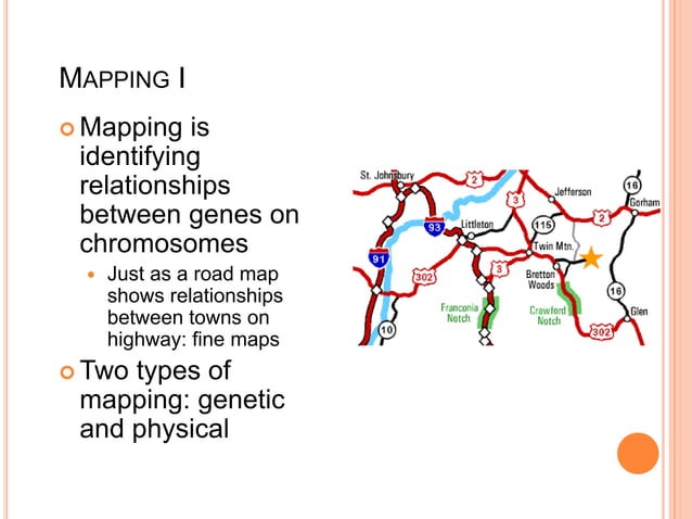 Molecular mapping | PPTX | Genetics | Science