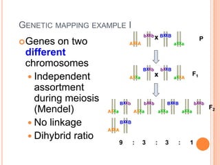 Molecular mapping | PPTX