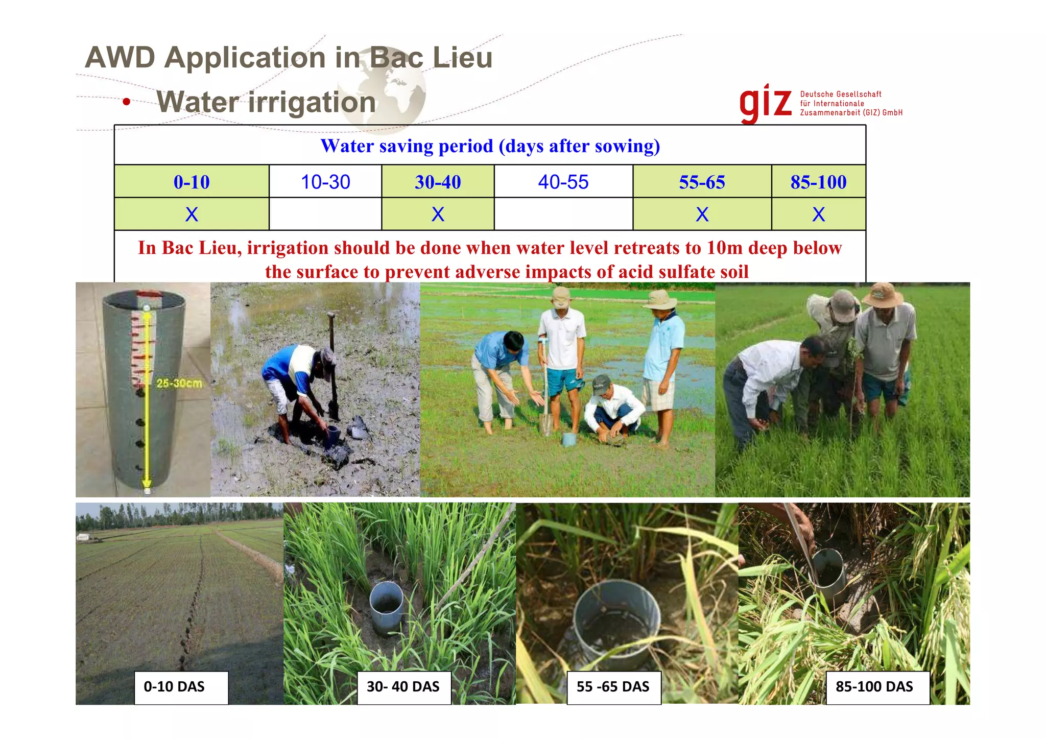 8.2 Innovations in rice cultivation - Alternate wetting and drying | PDF