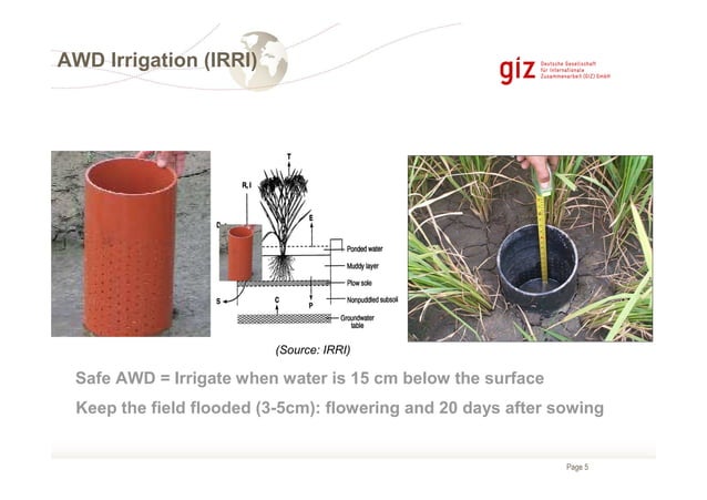 8.2 Innovations in rice cultivation - Alternate wetting and drying | PDF