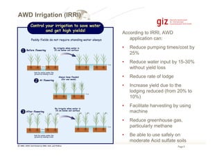 8.2 Innovations in rice cultivation - Alternate wetting and drying | PDF