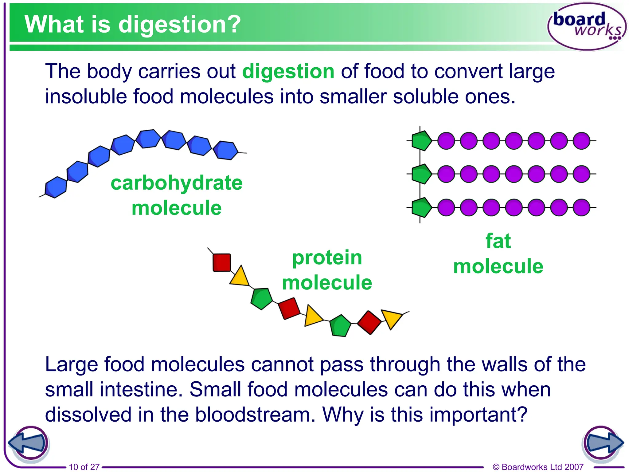 Test for food (biological molecules test).ppt