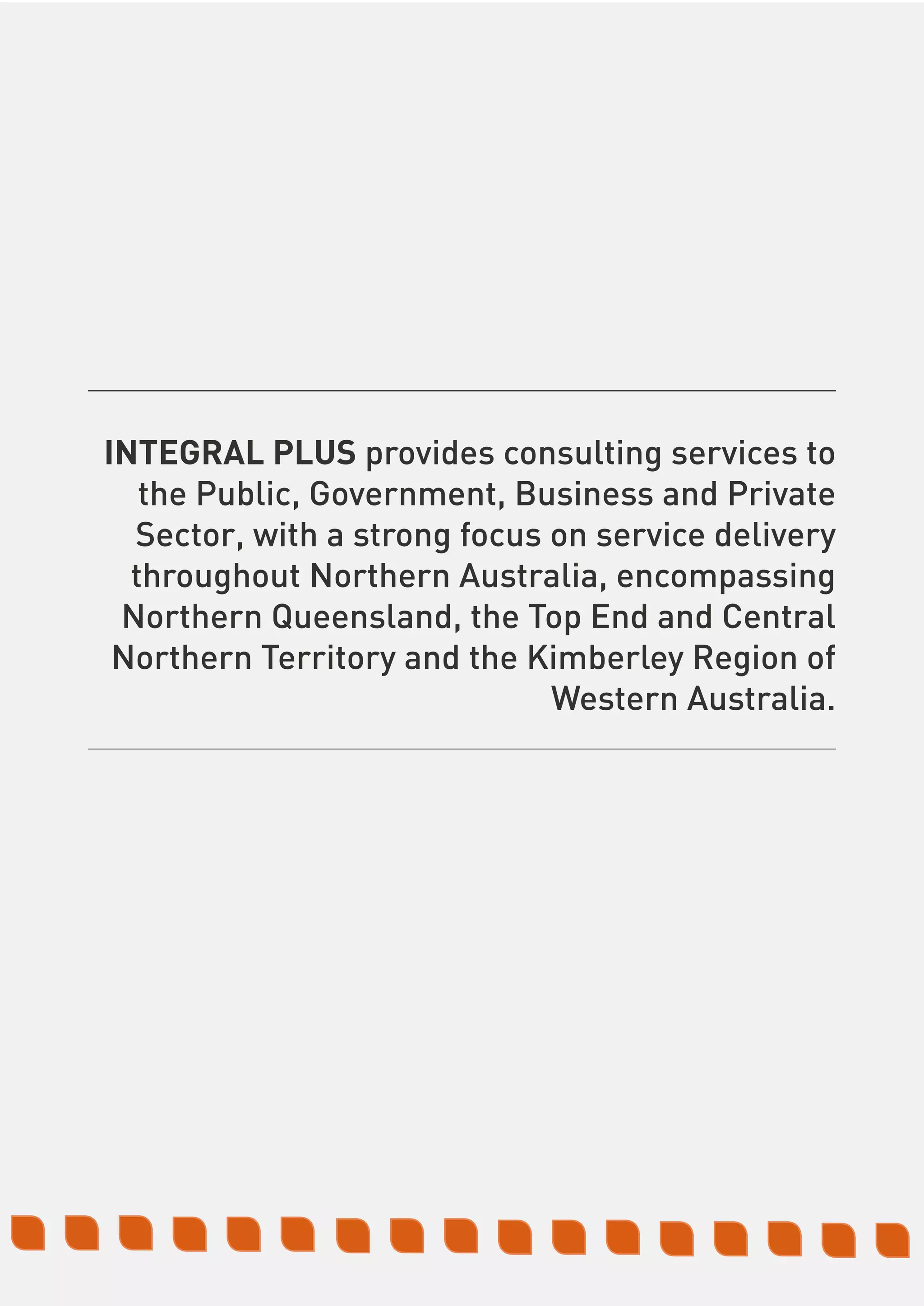Integral Plus Consulting | PDF