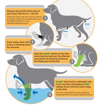 QOL Animal Buddy leaflet Re-Design xxxxx v3 | PDF | Dogs | Pets