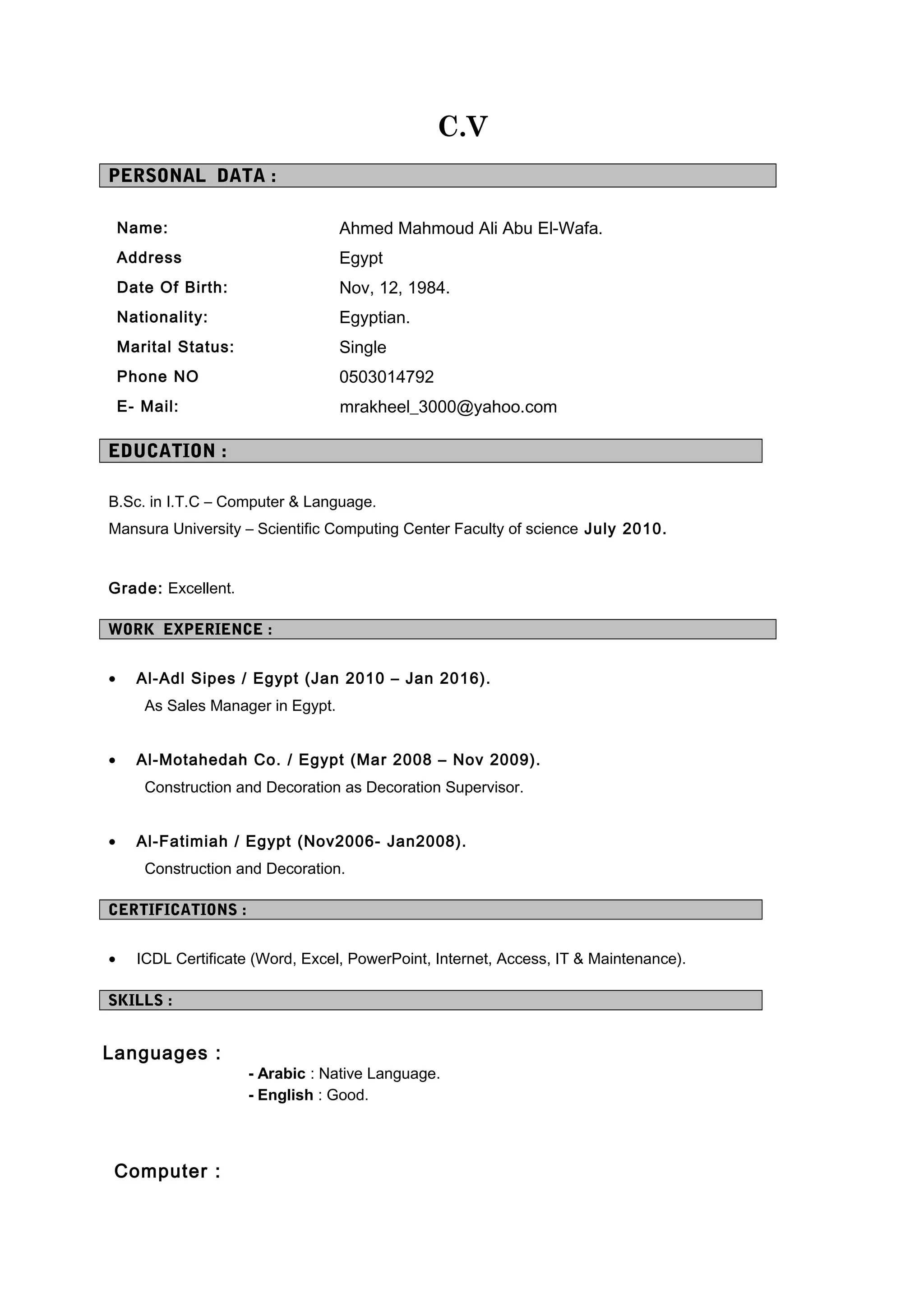 Final C.V | DOC | Internet | Computing