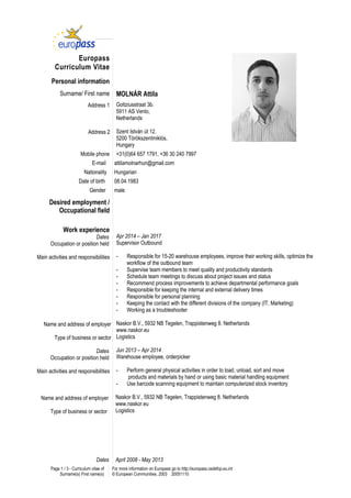 AttilaMolnarCVe | DOC | Logistics | Business