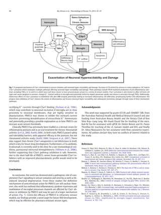 Paper 1_updated manuscript for thesis | PDF | Brain and Nervous System ...