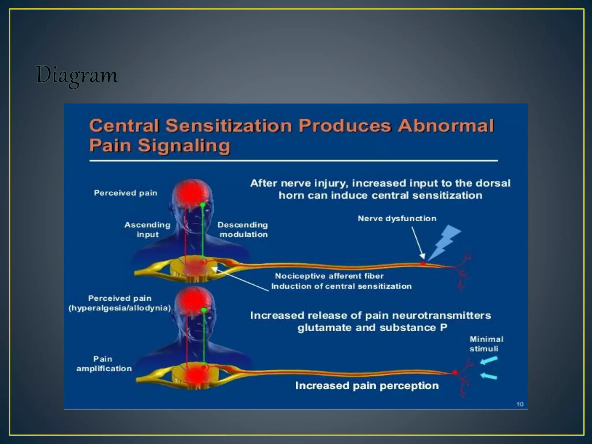 Central Sensitization | PPTX
