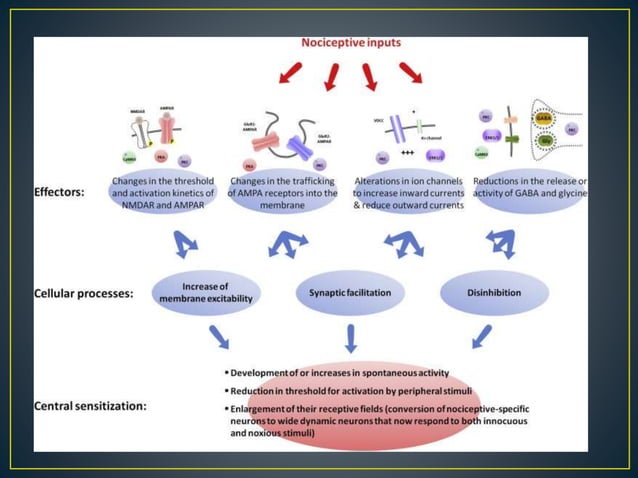Central Sensitization | PPTX