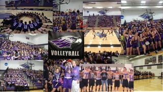 Sample Work (Client Campaign) | PPT