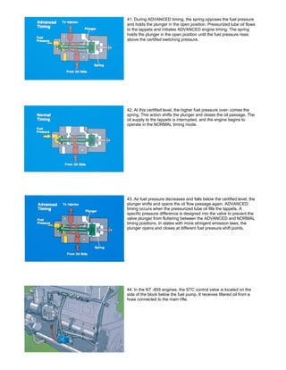 STC Fam Booklet | PDF