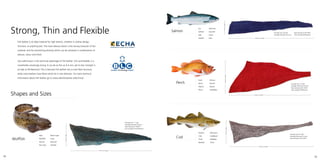 ATL 0113-6 bæklingur 2013 enska | PDF