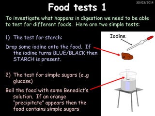8 a food & digestion (whs) | PPT