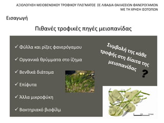 Αξιολόγηση μειοβενθικού τροφικού πλέγματος σε λιβάδια θαλάσσιων ...