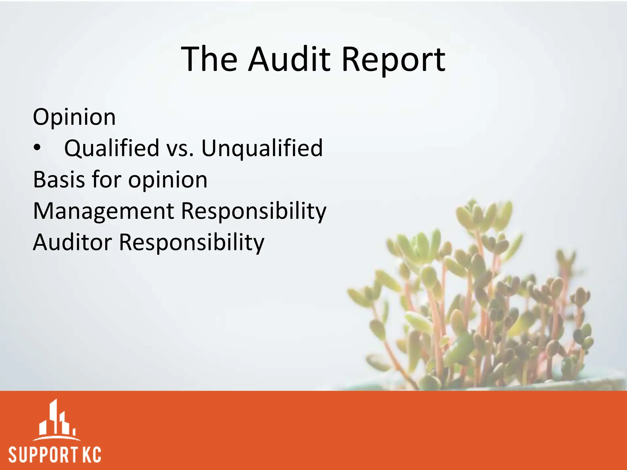 8 Annual Audit Prep Slide Presentation (1).pptx