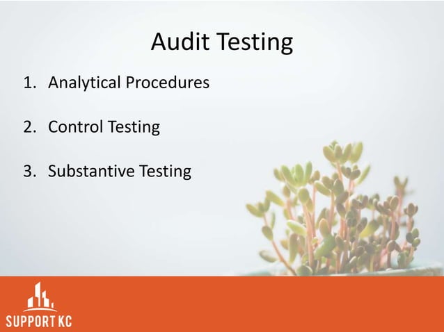 8 Annual Audit Prep Slide Presentation (1).pptx