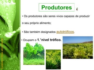 8ºano cadeias e teias alimentares | PDF
