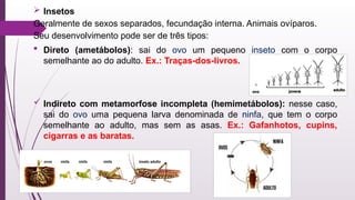 8º ANO - REPRODUÇÃO ASSEXUADA E SEXUADA.pptx