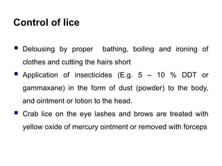Comprehensive Overview of Anoplura (Lice): Morphology, Life Cycle, and ...