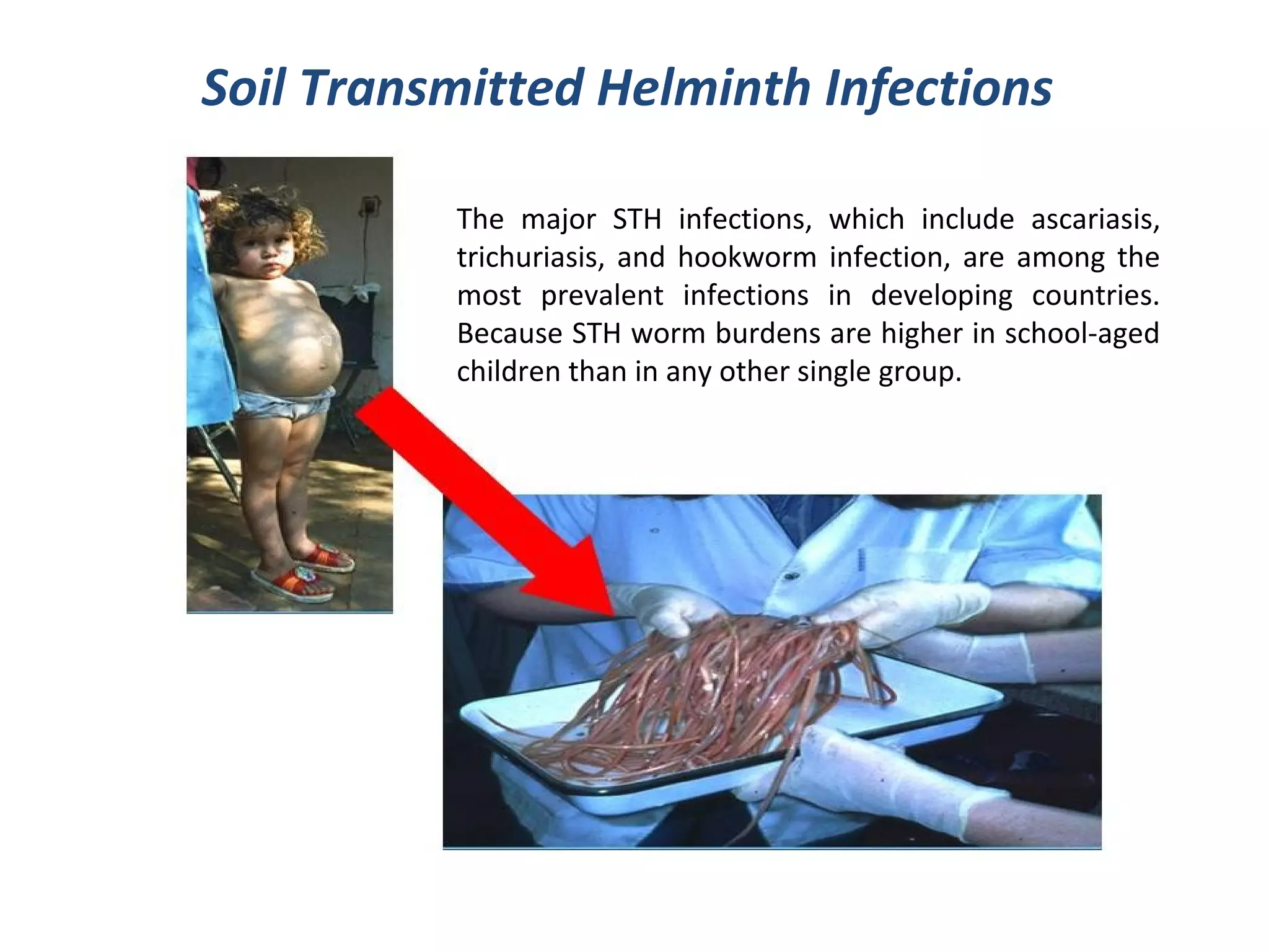 Introduction to anthelmintic drugs | PPT