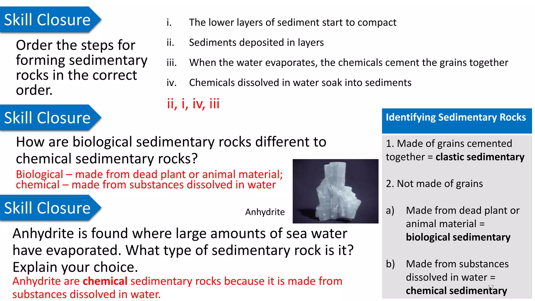 8a Sedimentary Rocks (3).pptx