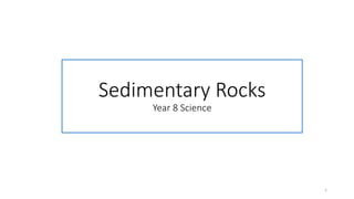 8a Sedimentary Rocks (3).pptx