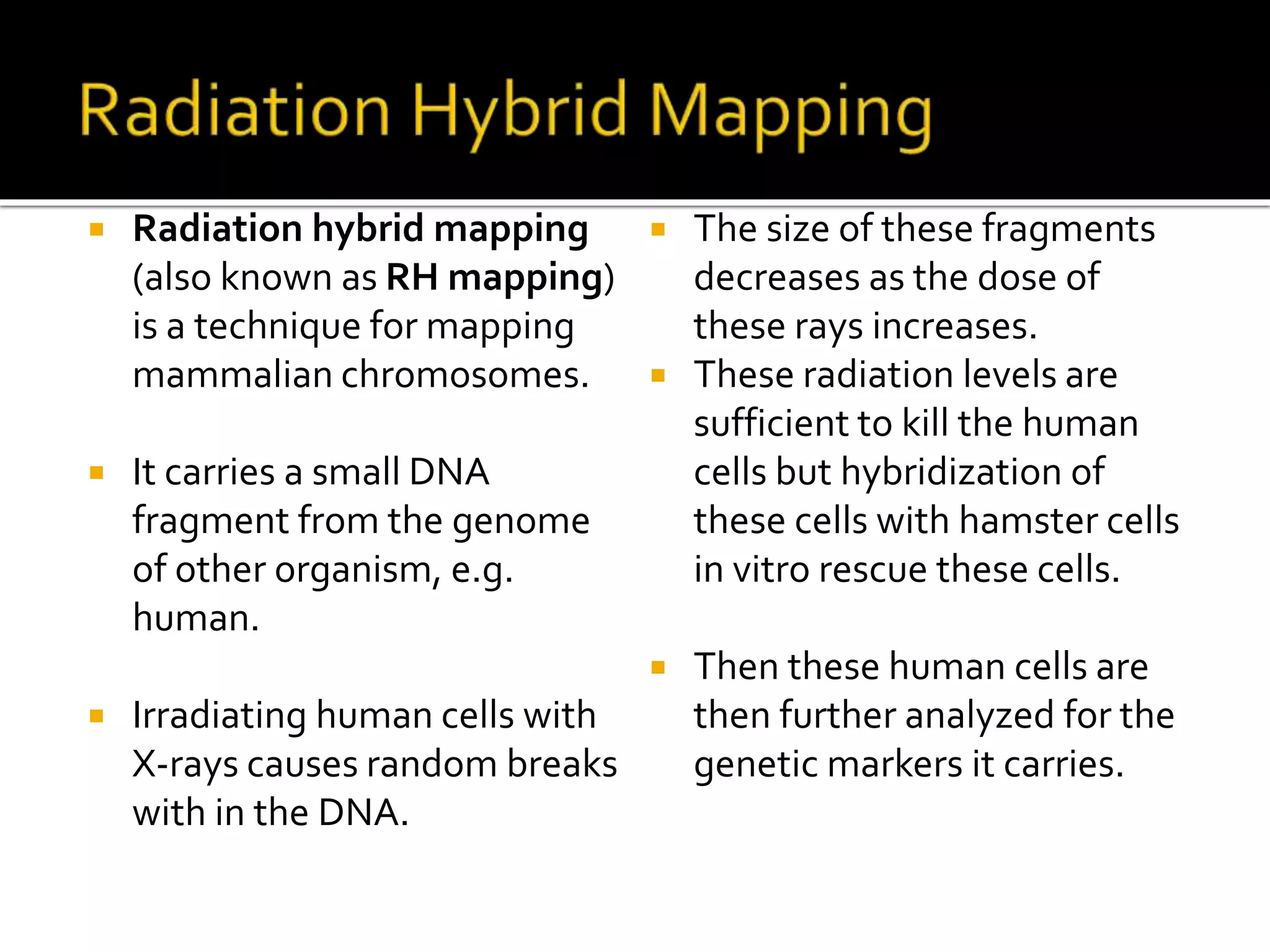 PHYSICAL MAPPING STRATEGIES IN GENOMICS | PPTX | Biological Sciences ...