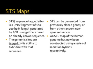PHYSICAL MAPPING STRATEGIES IN GENOMICS | PPTX