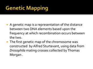 PHYSICAL MAPPING STRATEGIES IN GENOMICS | PPTX