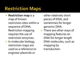 PHYSICAL MAPPING STRATEGIES IN GENOMICS | PPTX