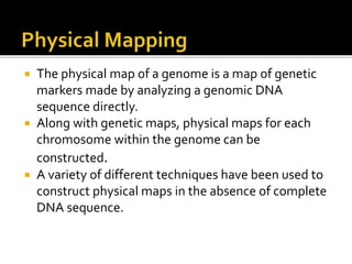 PHYSICAL MAPPING STRATEGIES IN GENOMICS | PPT