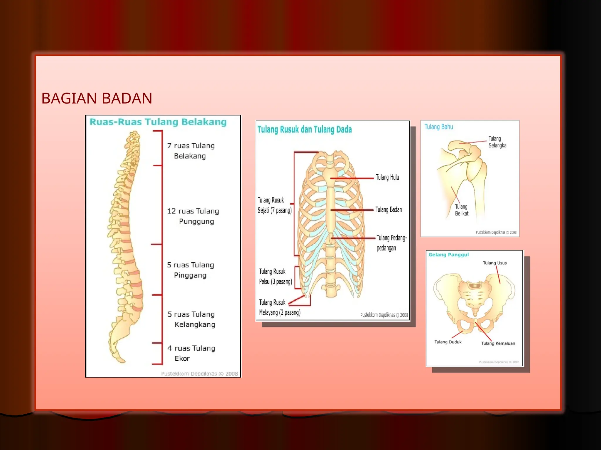 8b.Alat Gerak Manusia dan Sistem Rangka Manusia | PPT
