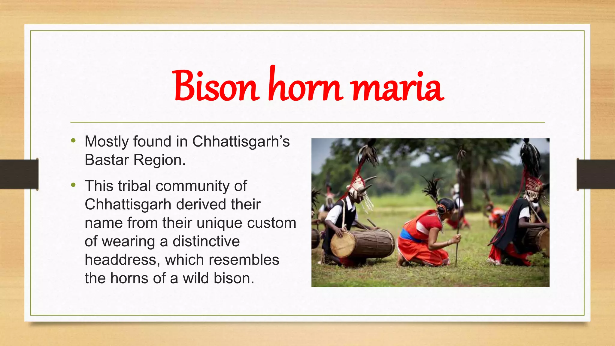 Tribes Of Chhattisgarh | PPTX