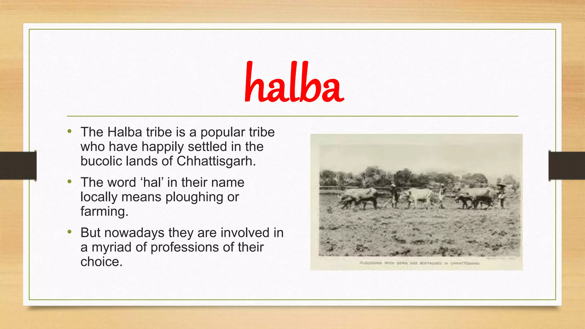 Tribes Of Chhattisgarh | PPTX
