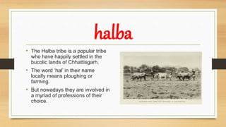 Tribes Of Chhattisgarh | PPTX