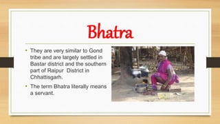 Tribes Of Chhattisgarh | PPTX