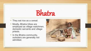 Tribes Of Chhattisgarh | PPTX