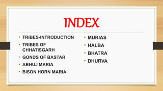 Tribes Of Chhattisgarh | PPTX